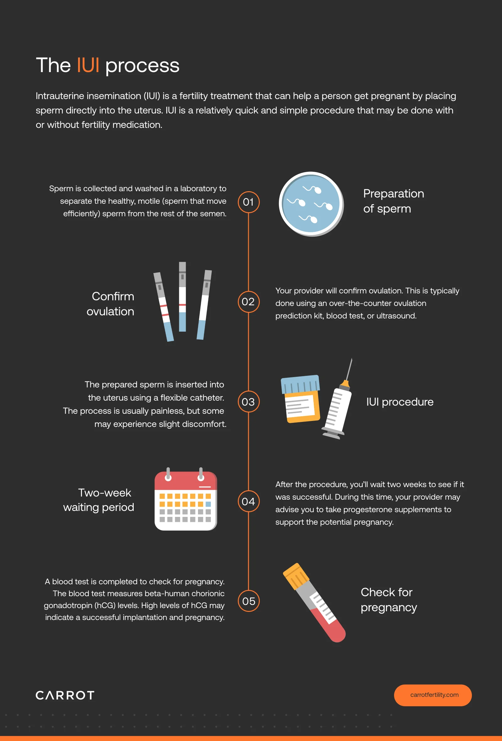 What is IUI: A guide to intrauterine insemination